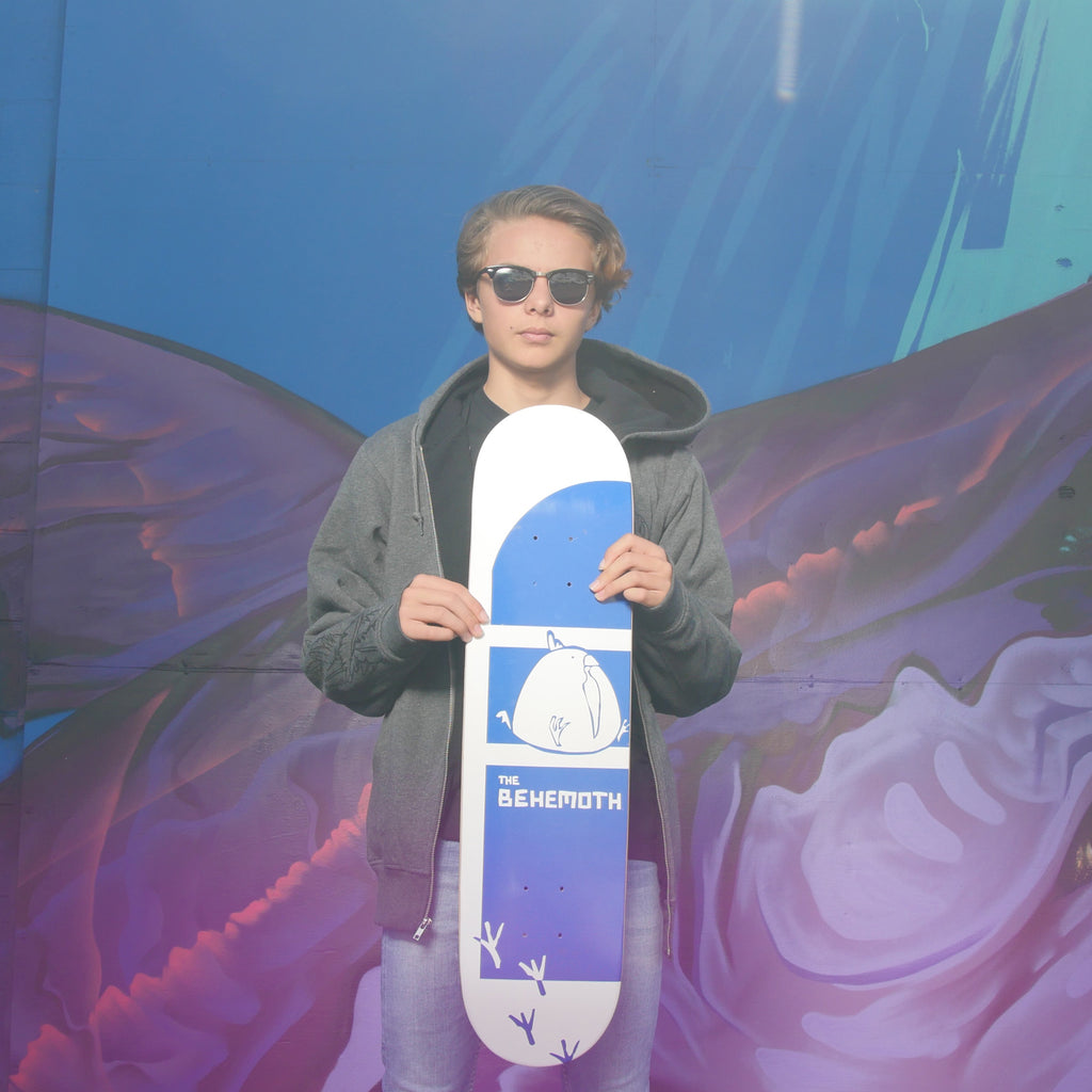 BEHEMOTH CHICKEN COLLECTION — THE BEHEMOTH STORE