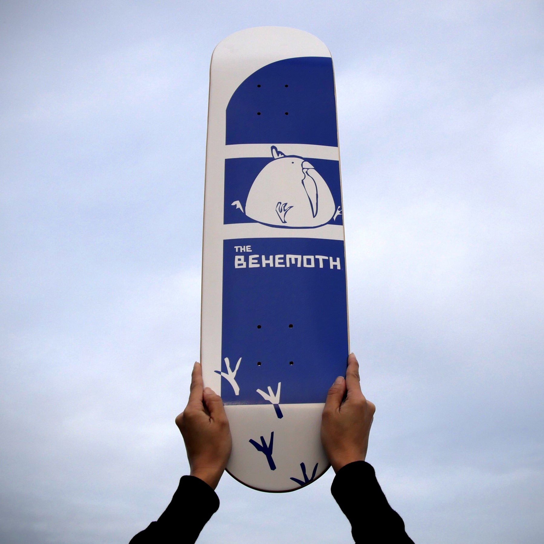 BEHEMOTH CHICKEN COLLECTION — THE BEHEMOTH STORE